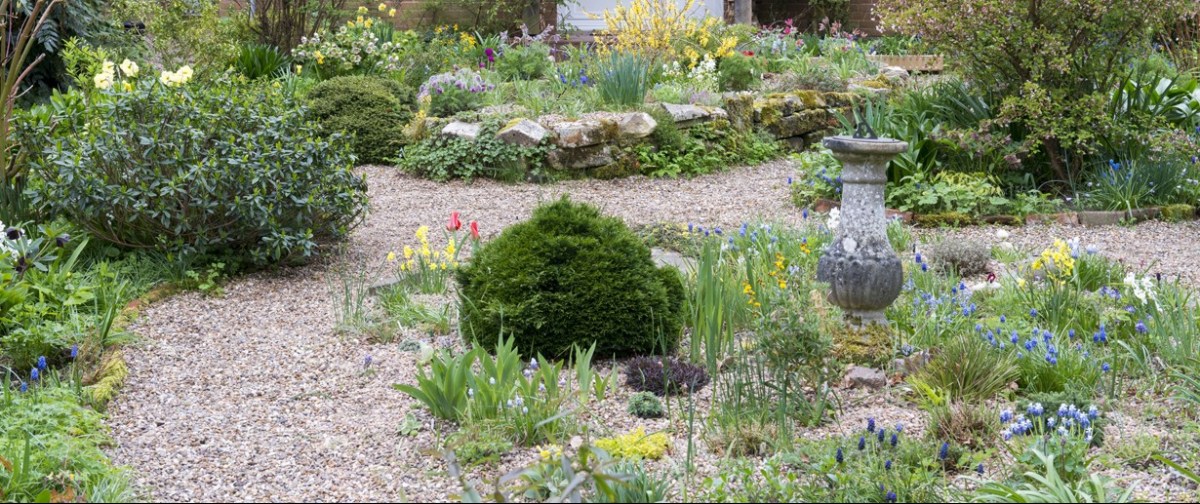 Witton Lane Garden, Norfolk – The National Collection of Muscari